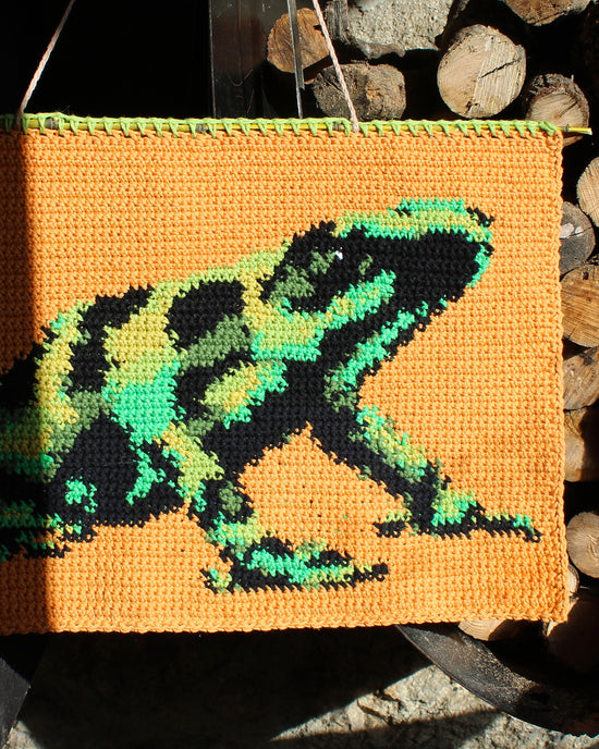 Poison Dart Frog pattern – TyBailie