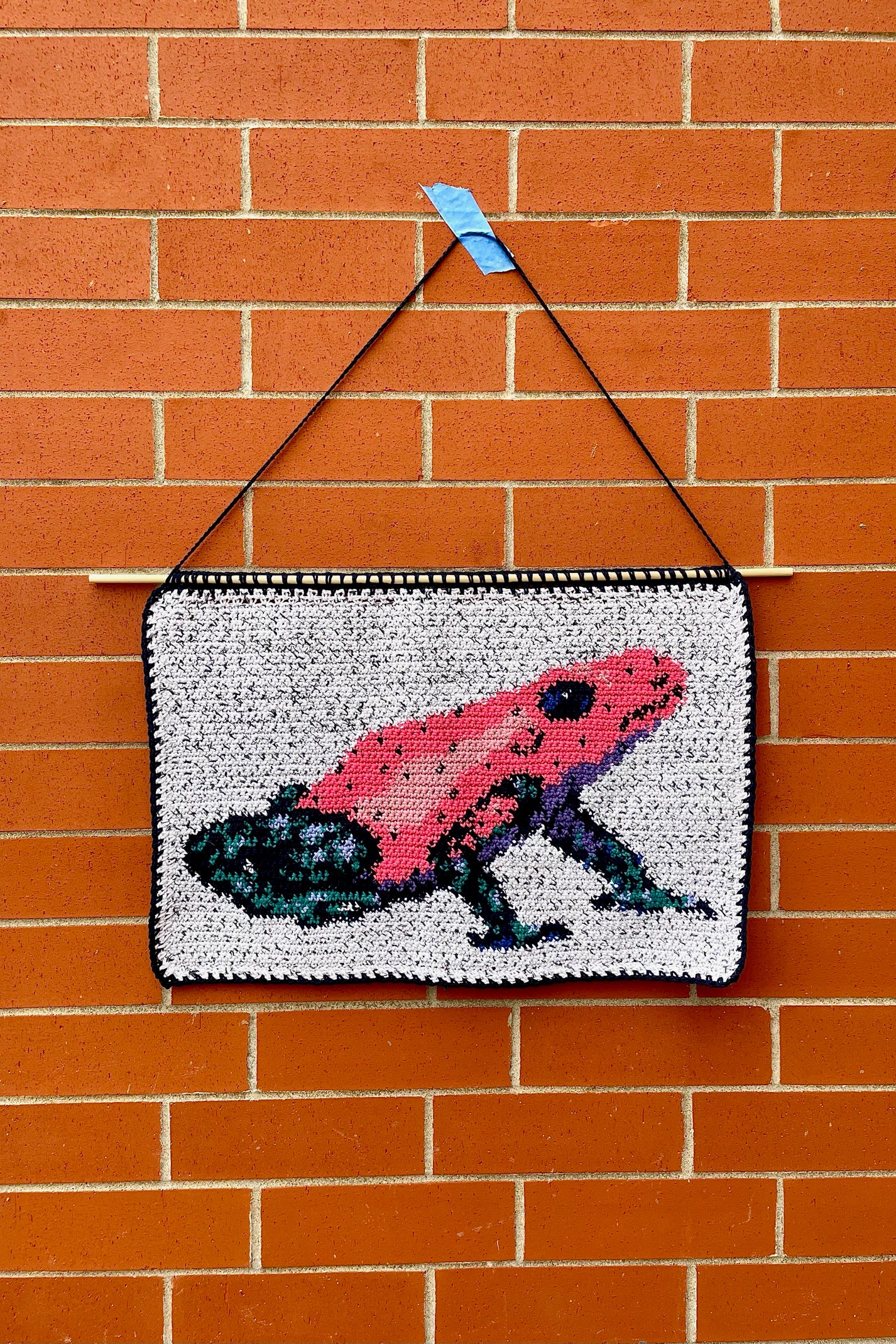 Poison Dart Frog pattern – TyBailie