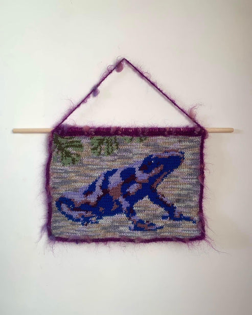 Poison Dart Frog pattern – TyBailie
