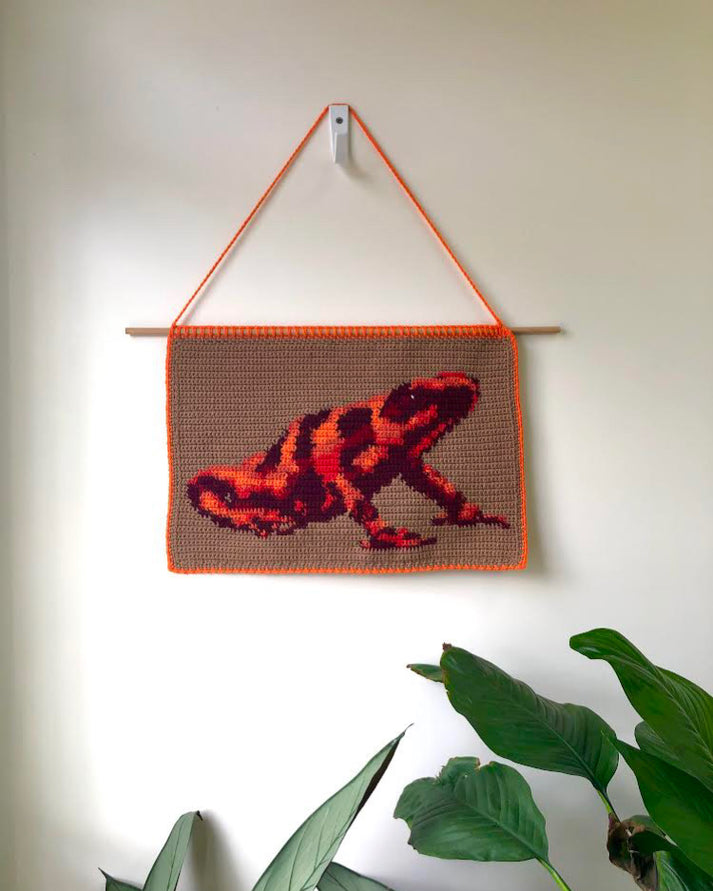 Poison Dart Frog pattern – TyBailie